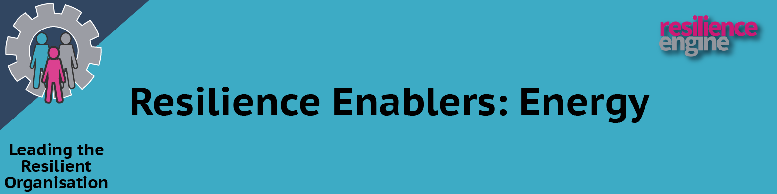 Resilience Enablers: Energy - The Resilience Engine