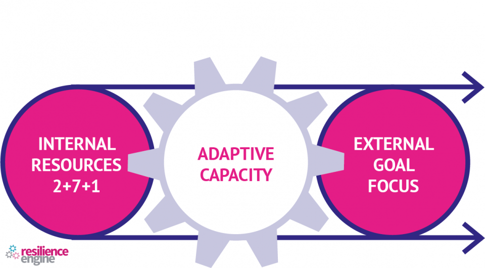 Research Overview - The Resilience Engine