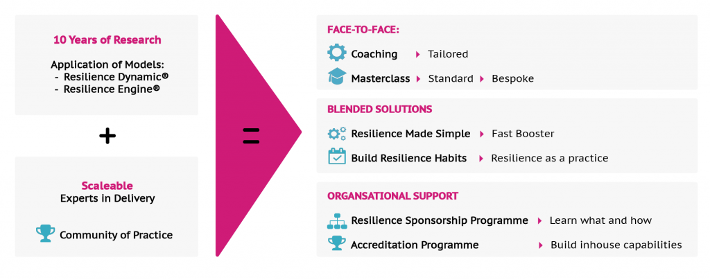 Our Services - The Resilience Engine