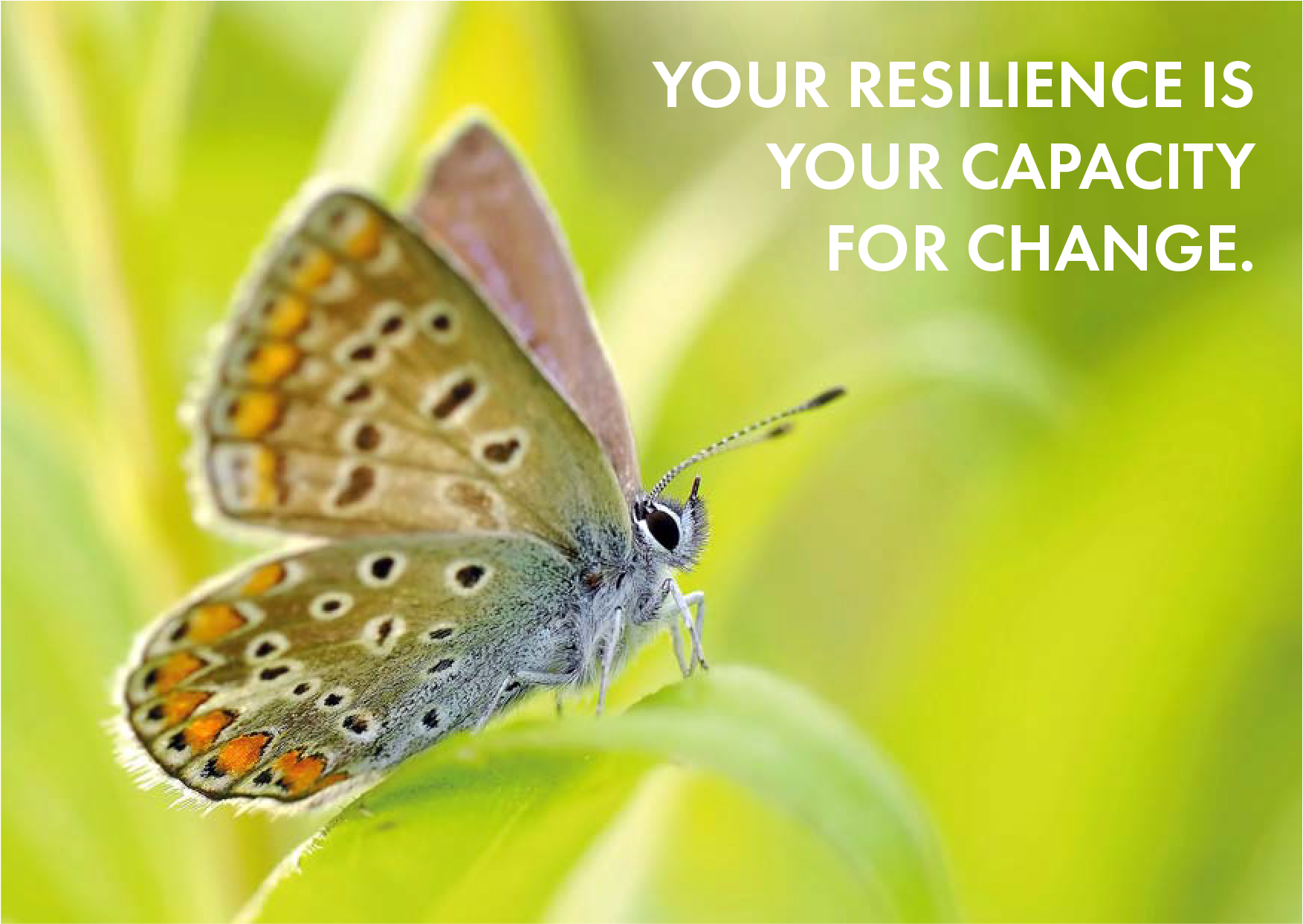 Change_Card-no-logo - The Resilience Engine