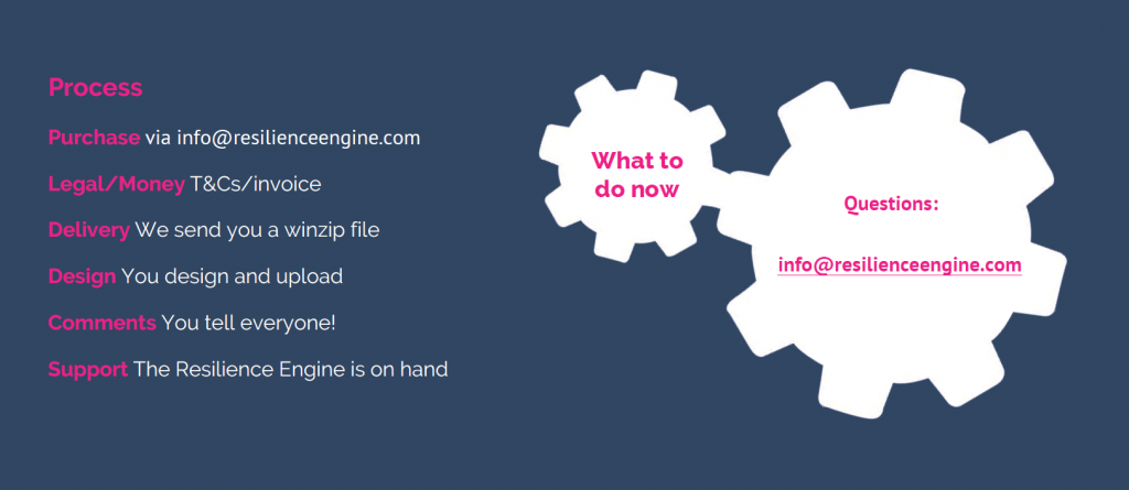 resilience engine process, resilience engine - The Resilience Engine