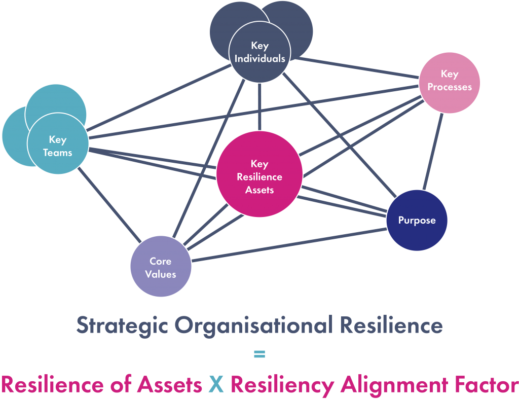 Resilient Culture - The Resilience Engine
