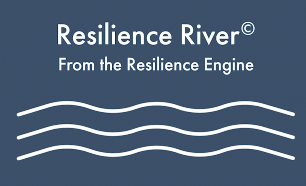 2 - Resilience Check-In - Mock Up - The Resilience Engine