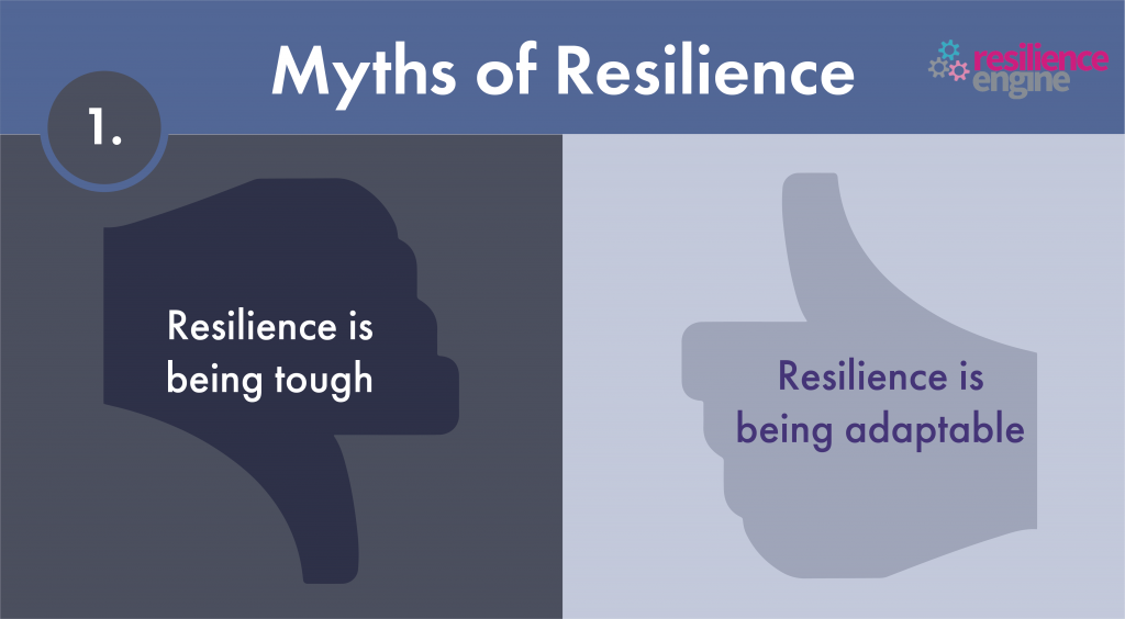 3 - Myth 1 - Mock-up - The Resilience Engine