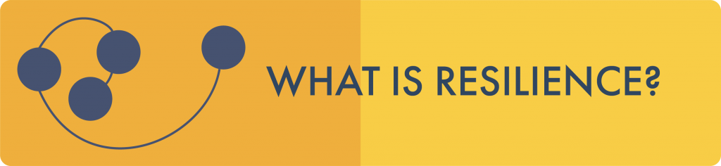 What-is-resilience - The Resilience Engine
